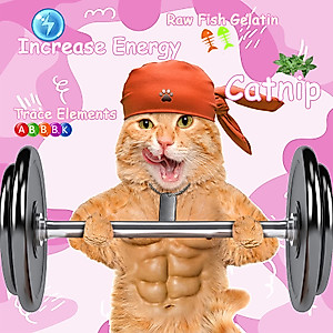 Nuanchu 6 Pieces Cat Snacks Candy Ball Cat Sugar Energy Ball Cat Lickable Treats Balls Cat Catnip Ball Cat Lollipop Wall Cat Treat Balls Toy Edible Cat Treats Candy Ball Kitten Treats Licking Candy