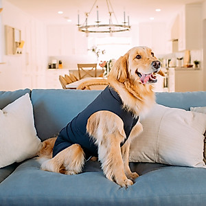 Shed Defender Recovery Suit for Dogs - Seen on Shark Tank, Post-Surgery Dog Onesie, Vet Approved, Anxiety Shirt, E-Collar Alternative, Calming Vest Jacket, Covers Hot Spots & Abdominal Wound, Bodysuit