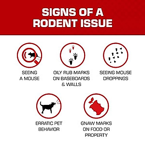 Tomcat Attractant Gel, Attracts Mice and Rats, Great Alternative to Cheese or Peanut Butter, 1 oz.