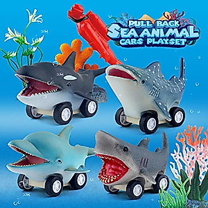 DINOBROS Sea Animal Pull Back Toy Cars Playset Ocean Game Set of 12Pcs Great White Shark Dolphin Killer Whale Toys for Boys and Toddlers 3 Year Olds and Up