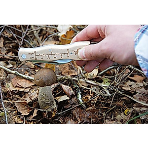 Esschert Design Mushroom Knife with Brush