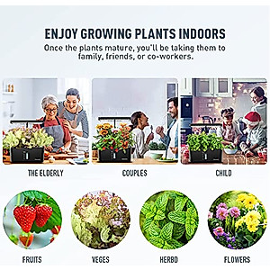 Indoor Garden Hydroponic Growing System: Plant Germination Kit Aeroponic Herb Vegetable Growth Lamp Countertop with LED Grow Light - Hydrophonic Planter Grower Harvest Veggie Lettuce