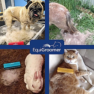 EasyGroomer Deshedding Brush for Dogs Cats | Purple | Undercoat Tool for Large and Small Pets | Comb Removes Loose Dirt, Hair and Fur | Perfect Clean for Short and Long Hair Grooming Shedding