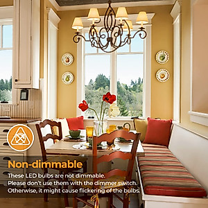 Brightever 4-Pack Vintage LED Edison Bulbs 60W Equivalent, 6W ST58 2700K Warm White Antique LED Filament Bulbs, E26 Medium Base, Clear Glass Style for Home and Commercial, Non-dimmable