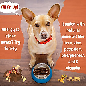 Dog Chits Turkey and Sweet Potato Soft Chew for Dogs - Dog and Puppy Chews | Made in USA | Organic Turkey | All-Natural Treats | Large & Small Dogs | Organic Sweet Potato | 4 oz.