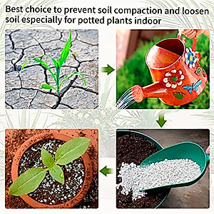 Perlite for Plants - 8QT Organic Perlite Bulk for Indoor Plants, Succulents, Vegetables, Garden, Horticultural Perlite for Soil, Potting Soil Mix, Root Cuttings, Seed Starting