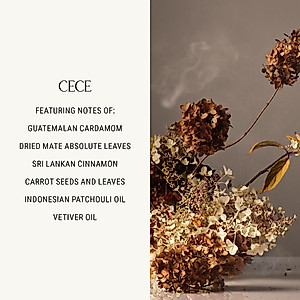 Homecourt Surface Cleaner Spray, All-Purpose, Clean Formula, 16 fl oz Cece