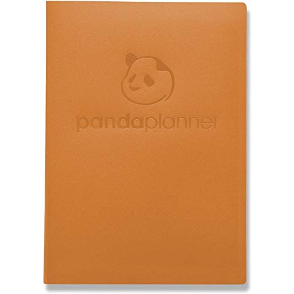 Sticky Notes Spring Colors by Panda Planner - Bookmark, Prioritize and Set Goals with Color Coding - 60 Ruled Lined Notes (4x6"), 40 Dotted Notes (3x4"), 40 Blank Notes (2.7x4.2") - 140 Total Tab