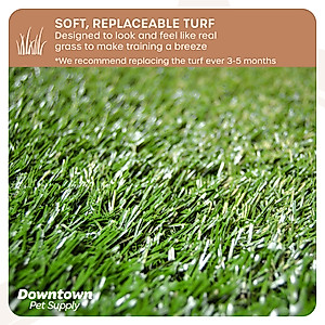 Downtown Pet Supply Dog Grass Pad with Tray, 20 x 30 - Outdoor and Indoor Potty System for Dogs with Replaceable Synthetic Grass Pee Turf - Portable and Waterproof Turf Dog Potty