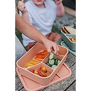 Spoondrift 100% Food Grade Eco-Friendly Leak-Proof Silicone Bento Box Lunchbox, Microwave Safe | For Child And Adult, 4 Compartment, Choose from 6 Colors, Includes 1 Box (Terracotta)