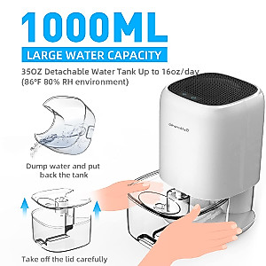 REEMKIZZ 35 oz Dehumidifier for Home Ultra Quiet Auto Shutoff Dehumidifier for Closet Wardrobe Bedroom Kitchen (300 sq. ft) White