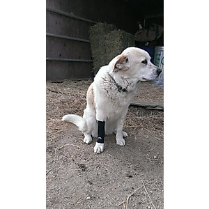 WALKABOUT Compression Sleeve (Black, XSmall