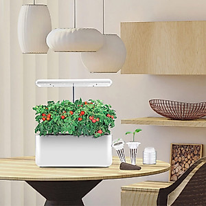 Delemonte 75 PCS Hydroponic Growing Plant Pods Kit, Including 25 Pieces Replacement Grow Baskets 25 Pieces Plant Grow Sponges 25 Pieces Transparent Insulation Lids, Compatible with Aerogarden