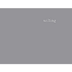 The Sun and Her Flowers