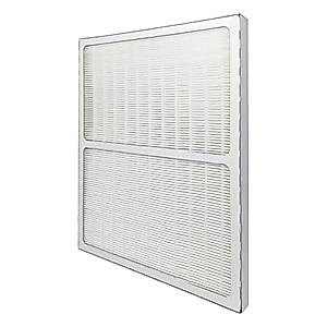 Aerostar HEPA Replacement Air Purifier Filter for Winix Filter A, 115115, 5500-2, C535 & Others (2 HEPA + 8 Carbon Prefilters)