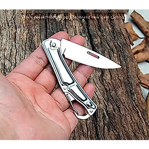 DHDestined Fateful Mini Pocket Knife Folding Knife, with 2.6in Sharp Steel Blade, EDC Knife for Hiking, Camping, Outdoor