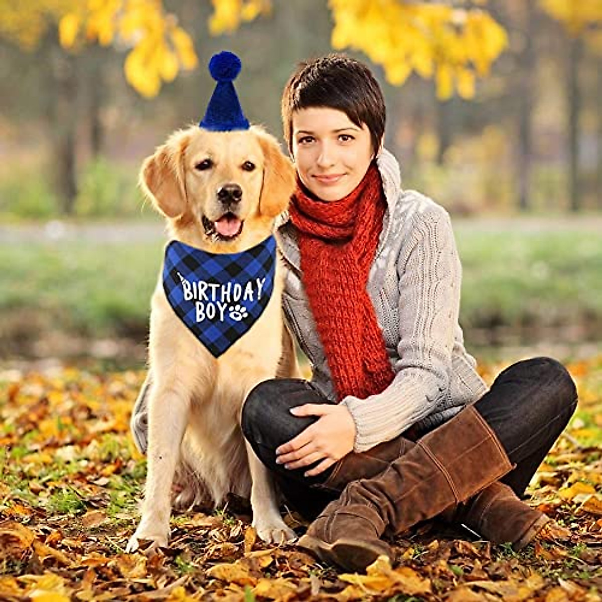 Dog Birthday Party Supplies, Boy Dog Birthday Bandana Scarf and Dog Birthday Hat with Number.