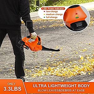 Cordless Leaf Blower,20V Handheld Electric Leaf Blower with 2 x 2.0Ah Battery & Fast Charger, 2 Speed Mode, Lightweight Battery Powered Leaf Blowers for Lawn Care, Patio, Yard, Sidewalk