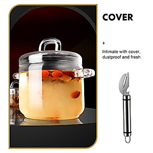 Glass Cooking Sauce Pan Glass Saucepan with Lid Stew Pot Steaming Cup Steam Soup Bowl Stovetop Cooking Noodle Pot for Egg Custard Birds Nest Tonic 700ml Glass Soup Pot