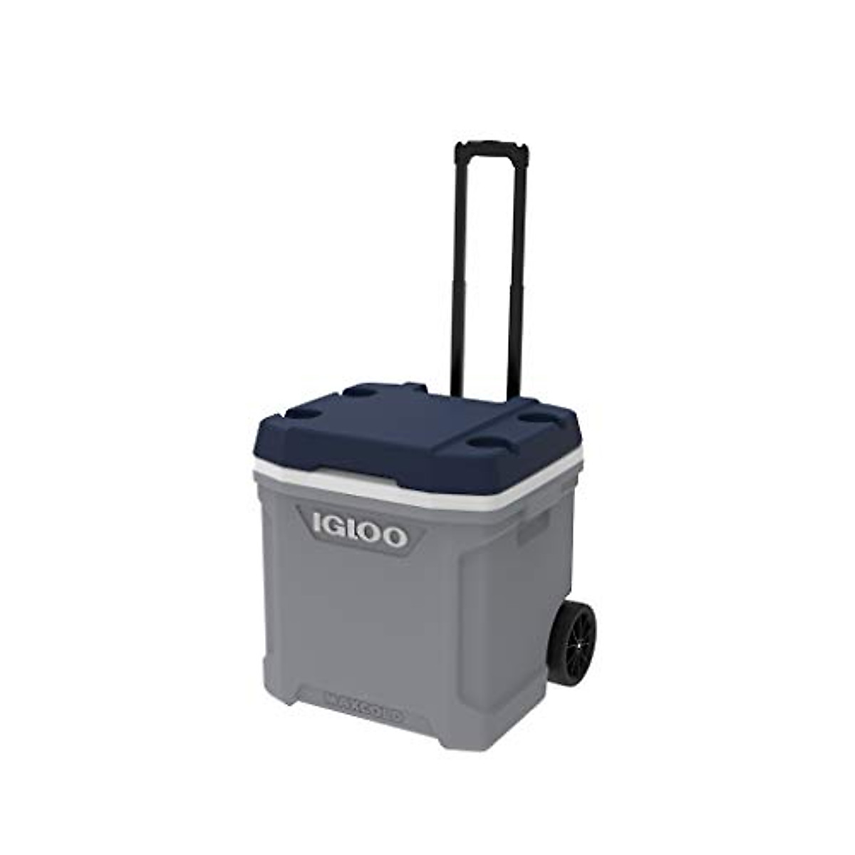 Igloo Maxcold 40-100 Qt Commercially Insulated Coolers