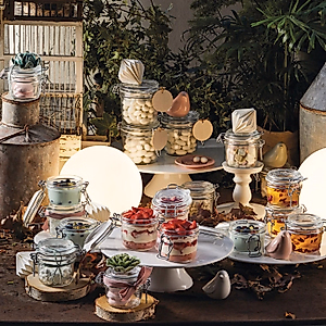 Bormioli Rocco 1234 Fido Clear Jar, 6.75 Oz, 6.75 Ounce