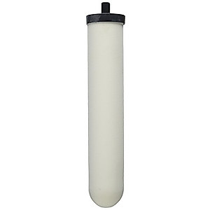 Doulton W9124020 Chlorasyl Ceramic 10 Inch Filter Replacement Candle