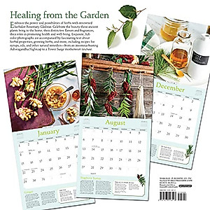 Rosemary Gladstar's Herbs Wall Calendar 2023: Recipes and Remedies for Health and Home