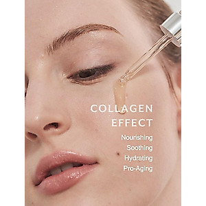 MIZON Collagen 100, Collagen Ampoule, Anti-wrinkle, Moisturizing, Skin Elasticity, Lifting Formula (30 ml 1.01 fl oz)