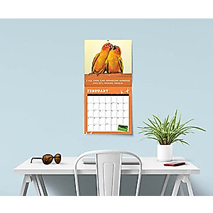 2023 Too F*cking Cute Animals Wall Calendar: A Year of D*mn Adorable Animals (Funny Monthly Calendar & White Elephant Gag Gift for Animal Lovers)