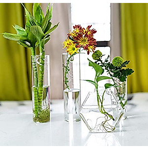 Kingbuy Wall Hanging Glass Planter Propagation Terrarium Hexagon Shape Flower Vase for Home Office Decor, Plant Lover Gifts, 3 Pack, Medium