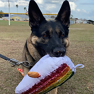 Doggijuana | Juananip™ Refill | Premium Organic Ground Catnip for Dogs | All Natural | Grown in The USA (Cake and Whine Bundle)