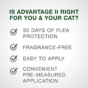 Bayer Advantage II Flea Prevention for Large Cats 6 Doses, 6 Months Supply 2 Pack Bundle