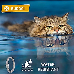 BUDOCI Pet Flea Collar Small Size Flea and Tick Prevention for Cats, 4 Pack Flea and Tick Collar for Cats, 38cm/15 inch, 8 Month Protection…