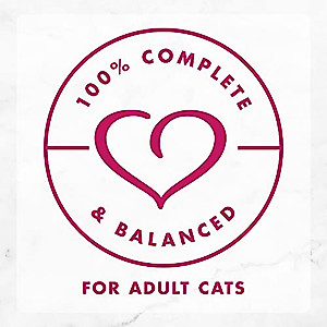 Fancy Feast Purina Delights with Cheddar Grilled Chicken & Cheddar Cheese Feast in Gravy (12-CANS) (3 OZ Each)