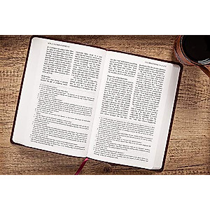 The Passion Translation New Testament, Burgundy, Large Print (Faux Leather) – In-Depth Bible with Psalms, Proverbs, and Song of Songs, Makes a Great Gift for Confirmation, Holidays, and More