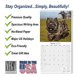2023 2024 Cairn Terrier Calendar - Dog Breed Monthly Wall Calendar - 12 x 24 Open - Thick No-Bleed Paper - Giftable - Academic Teacher's Planner Calendar Organizing & Planning - Made in USA