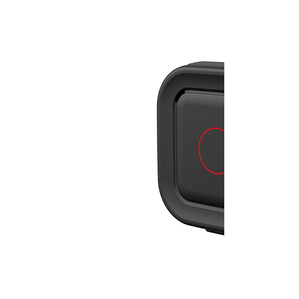 GoPro Remo Waterproof Voice Activated Remote (GoPro Official Accessory)