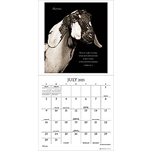 I Am Goat 2023 Wall Calendar: Animal Portrait Photography by Kevin Horan and Wisdom From Nature's Philosophers | 12" x 24" Open | Amber Lotus Publishing