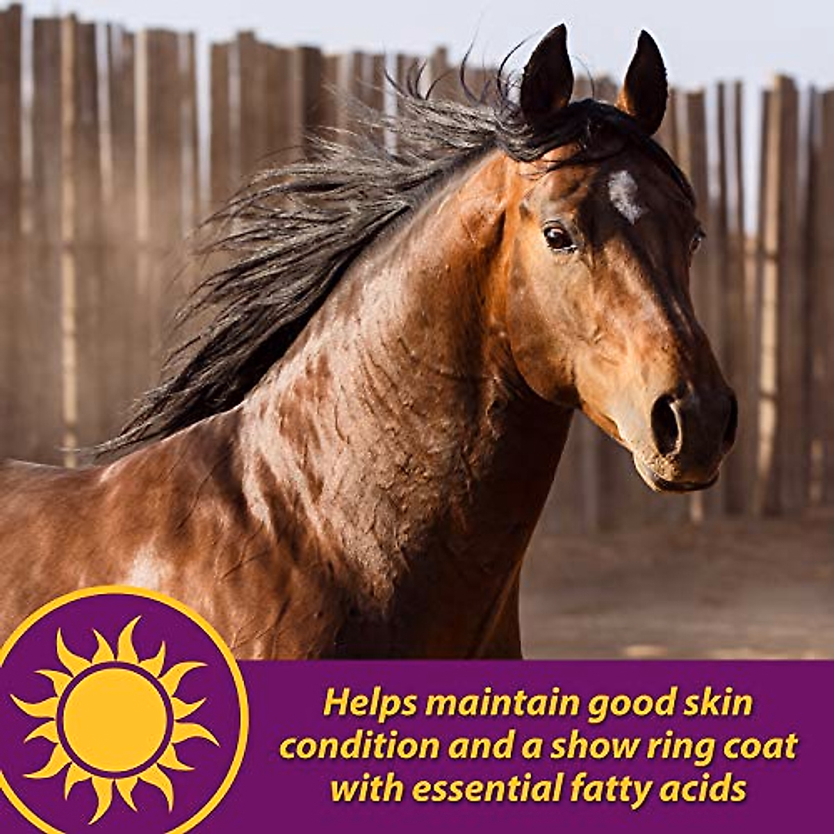 Horse Health Joint Combo Hoof & Coat, Convenient 3-in-1 horse joint supplement provides complete joint, hoof and coat care, 3.75 lbs., 30 day supply