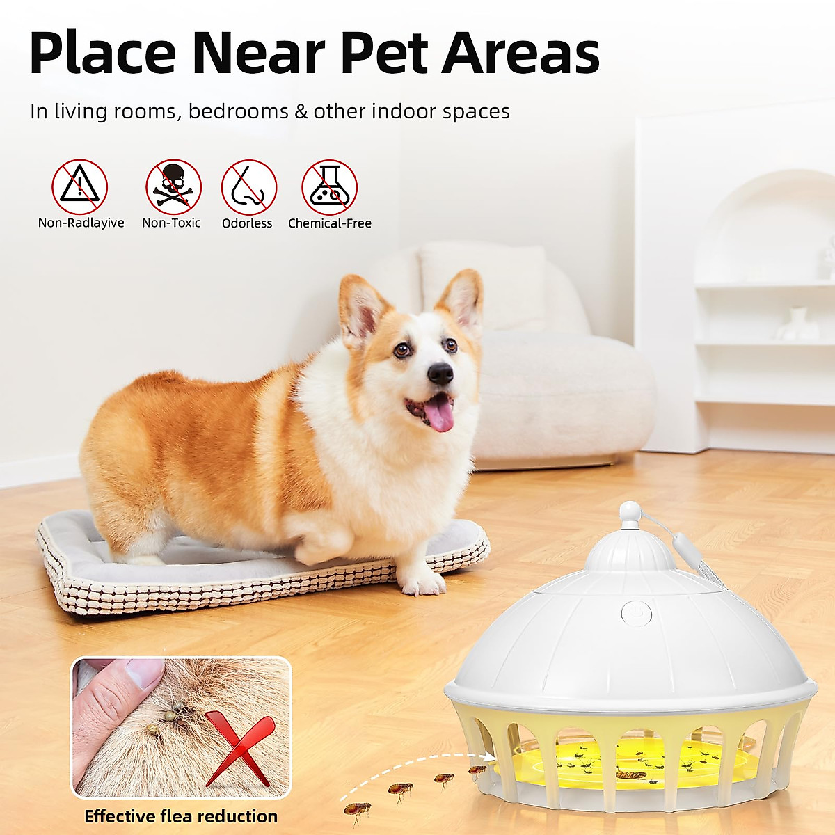 Upgraded Flea Traps for Inside Your Home,Flea Treatment with Light and 5 Flea Trap Refills,Flea Light Trap for Indoor,Flea Bombs for Home,Flea Killer Traps for Home, Friendly to Pets & Children
