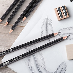 PANDAFLY Professional Drawing Sketching Pencil Set - 12 Pieces Graphite Pencils(14B - 2H), Ideal for Drawing Art, Sketching, Shading, Artist Pencils for Beginners & Pro Artists