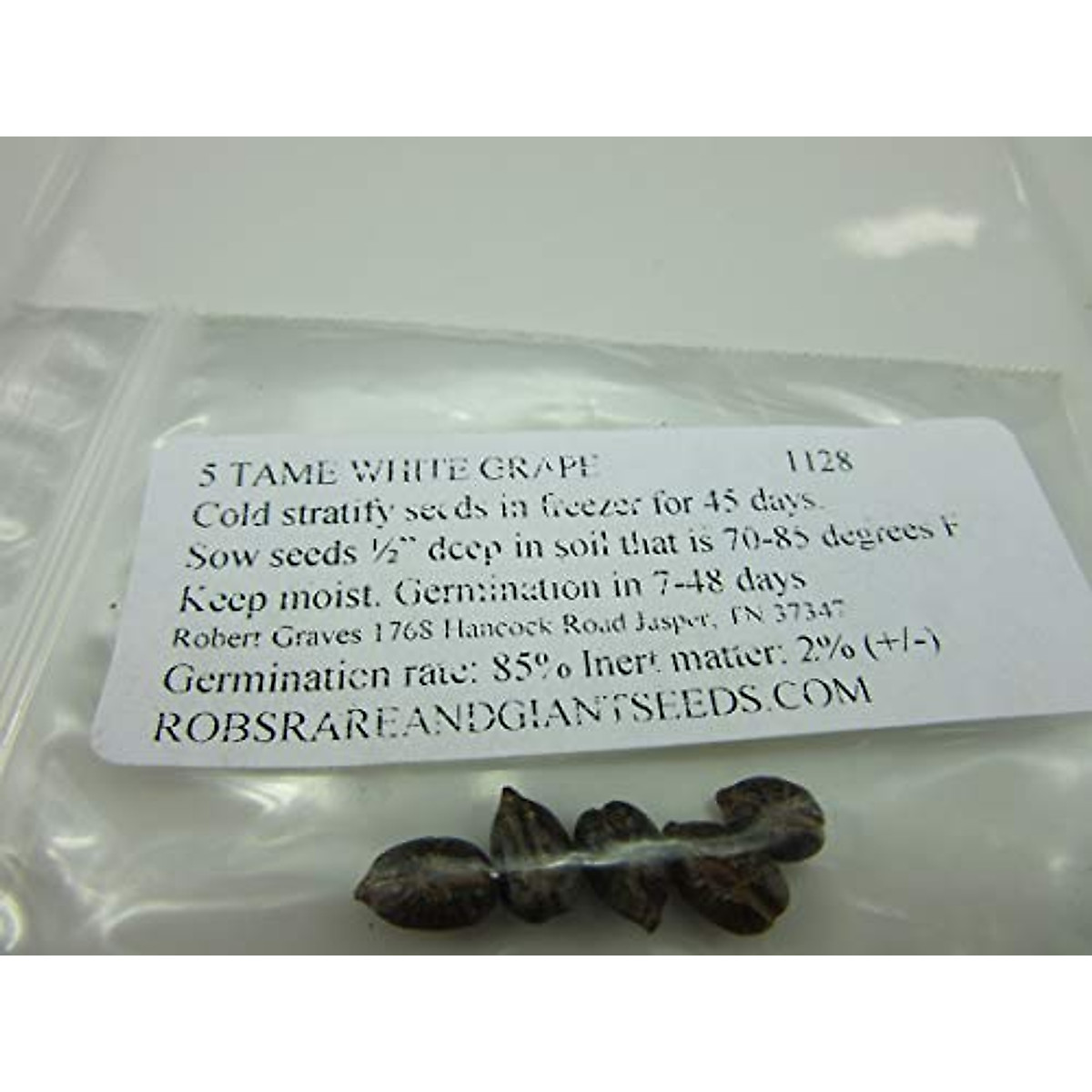 1128-Scuppernong/Muscadine,White,Tame (Vitis rotundifolia) Seeds by Robsrareandgiantseeds UPC0764425787334 Non-GMO,Organic,Historic Plants, Bonsai,1128 Package of 5 Seeds