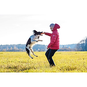 PlayfulSpirit Durable Natural Rubber Ring - Great Tug of War Dog Toy, Fun for Throw, Chase and Fetch Games, Exercise and Dog Training Toy for Medium to Large Breed Puppies and Adult Dogs (L, Orange)