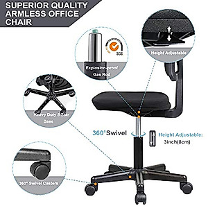RIMIKING Mesh Low-Back Ergonomic Swivel Chair Computer Chair Task Chair Desk Chair Armless Home Office Chair, Adjustable Height, Black
