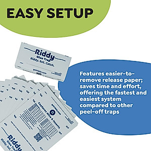 Riddy Glue Boards, 36 Boards, Pre-Baited, Ready to Use Mouse Traps Indoor for Home, Sticky Adhesive for Bugs and Rodents, 5.5" x 7.5"