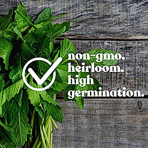 Giant Nobel Spinach Seeds - 1 Lb Seed Pouch - Heirloom, Non-GMO Gardening Seed - Slow Bolt Garden Spinach - Microgreens Seed