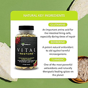KaraMD Vital Restore | Natural Leaky Gut & Digestive Health Supplement | Repair Leaky Gut | Total Restore of Healthy Enzymes, Energy & Gut Lining | Non-GMO, Gluten Free & Vegan Friendly (30 Servings)