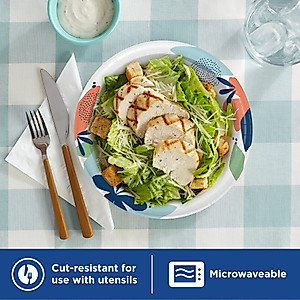 Dixie Paper Plates, 8 ½ inch, Lunch or Light Dinner Size Printed Disposable Plate, Packaging and Design May Vary 90 Counts (Pack of 1)