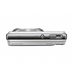 Sony Cyber-shot DSC-W290 12.1 MP Digital Camera with 5x Optical Zoom and Super Steady Shot Image Stabilization (Silver)