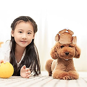 Cat Pet Thanksgiving Turkey Hat for Halloween Thanksgiving Costumes Hat Small Dog Drumstick Hat for Accessories and Party Favors.